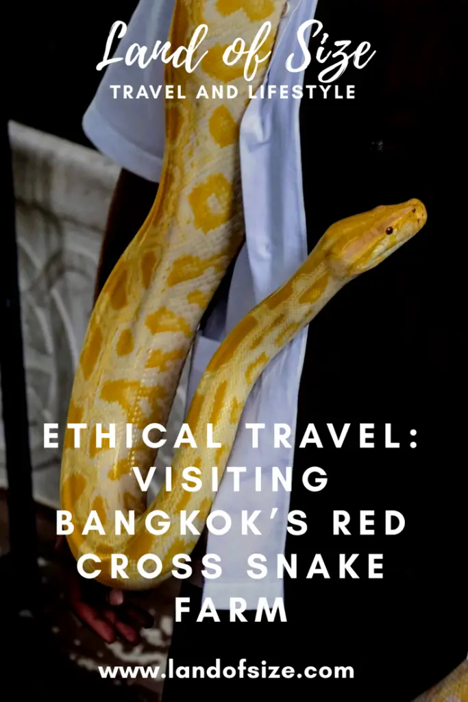 Ethical Travel: Visiting Bangkok’s Red Cross Snake Farm - Land of Size